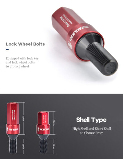 BONOSS Forged Grade 12.9 Shell Type Wheel Lock & Bolt Kit (20+4) For Porsche - BONOSS