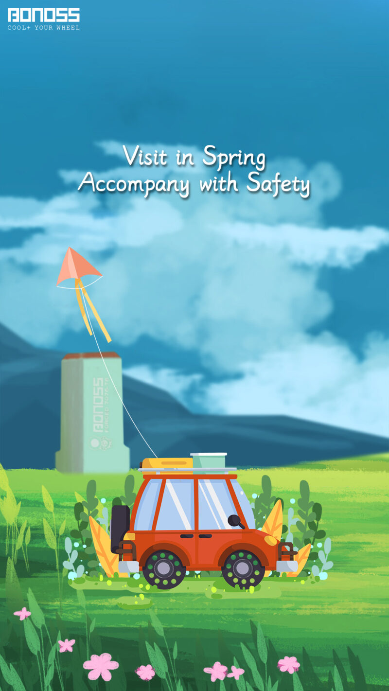 BONOSS POSTERS - BONOSS